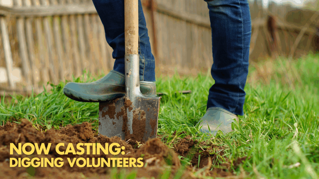 Paid Digging Volunteers Background Aa Men Women