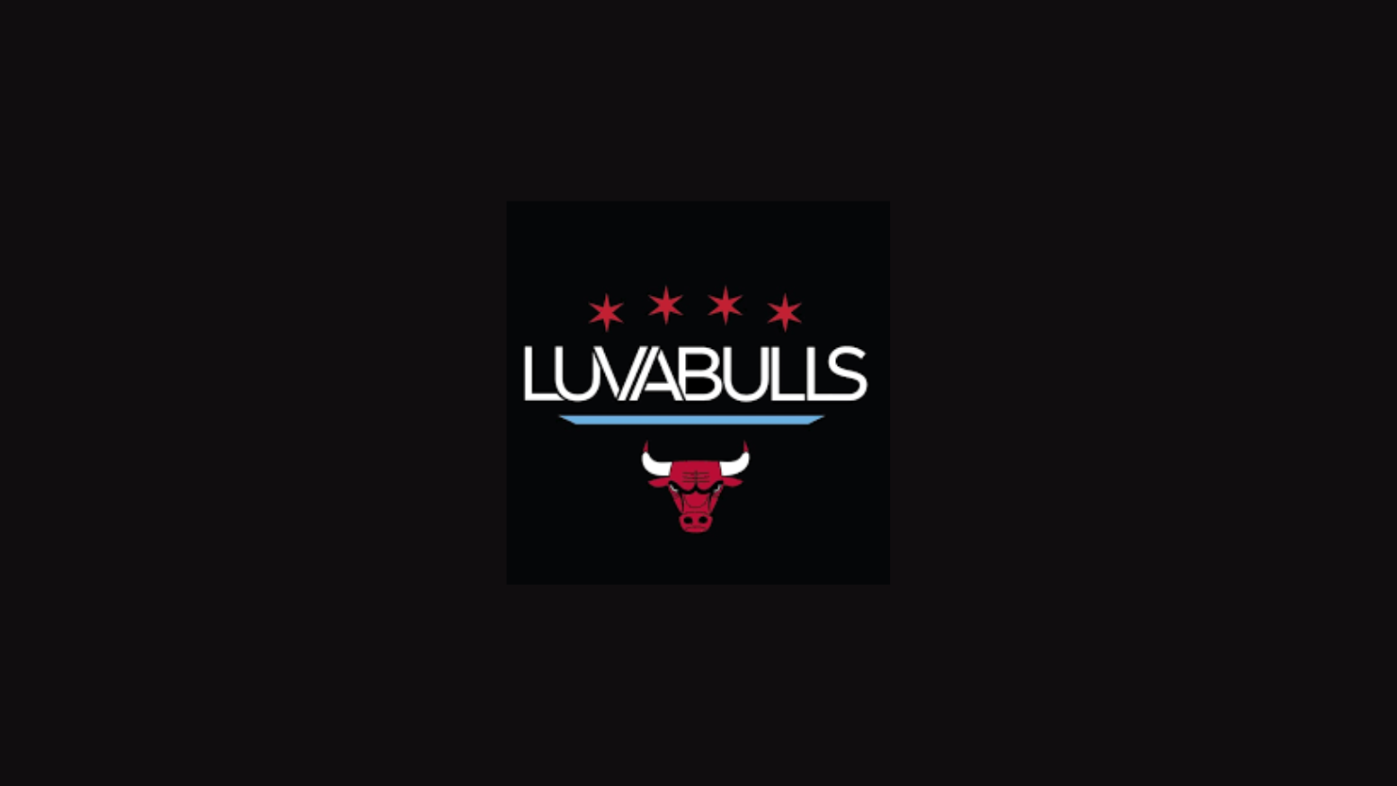 Open Auditions for Chicago Bulls Luvabulls Dancers